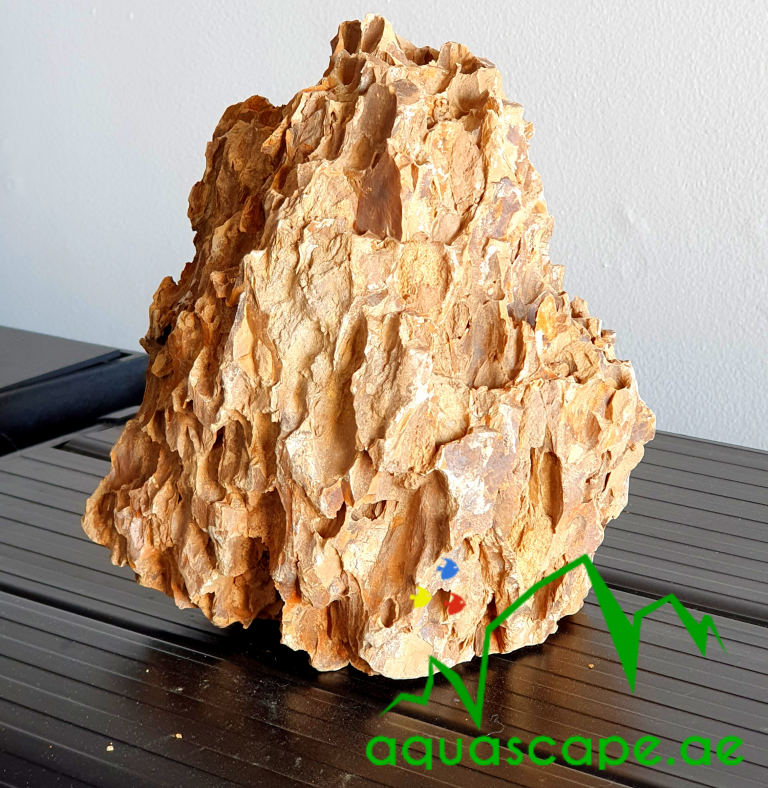 Aquascape Dragon Rock – aquascape