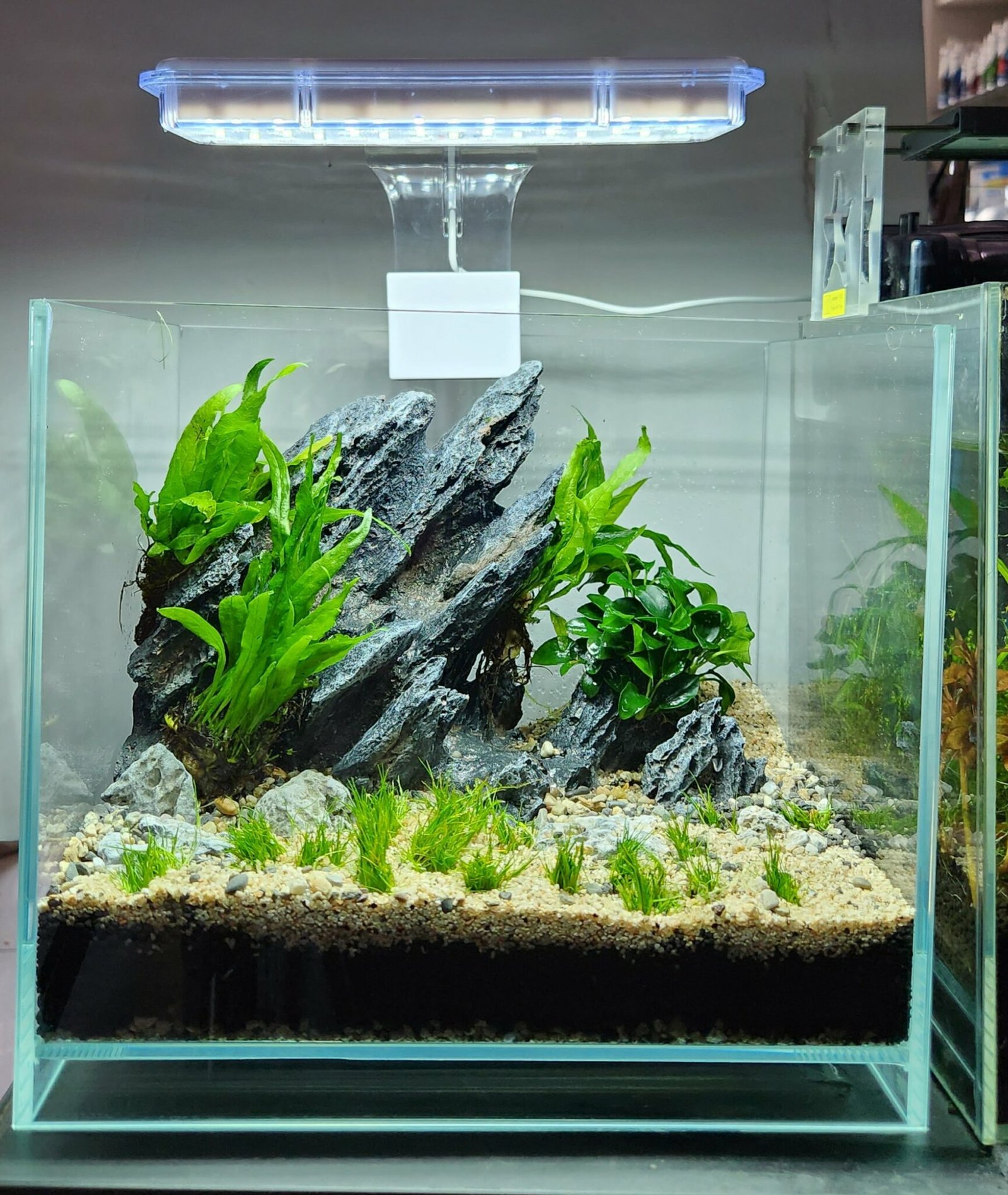 Aquascaping kit Rock 28x20x25 – aquascape