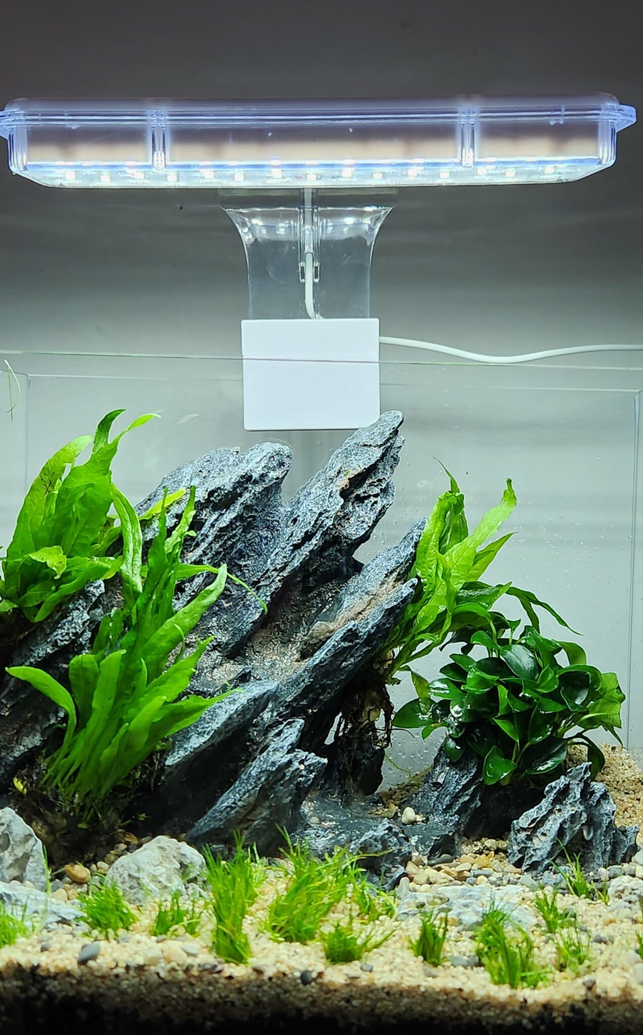 Aquascaping kit Rock 28x20x25 – aquascape