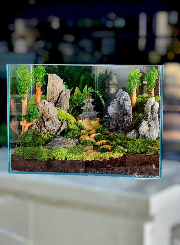 Zen Garden Terrarium – aquascape