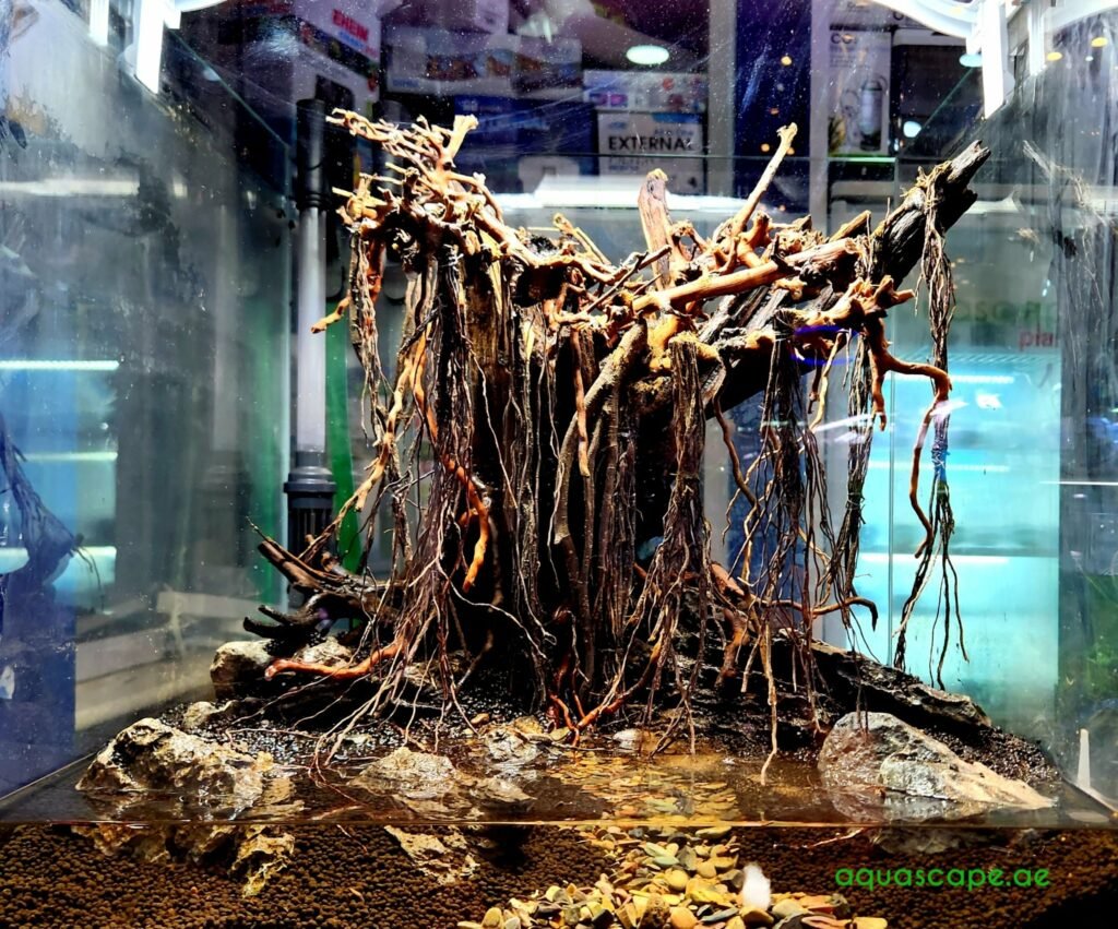 Prop Roots - aquascape